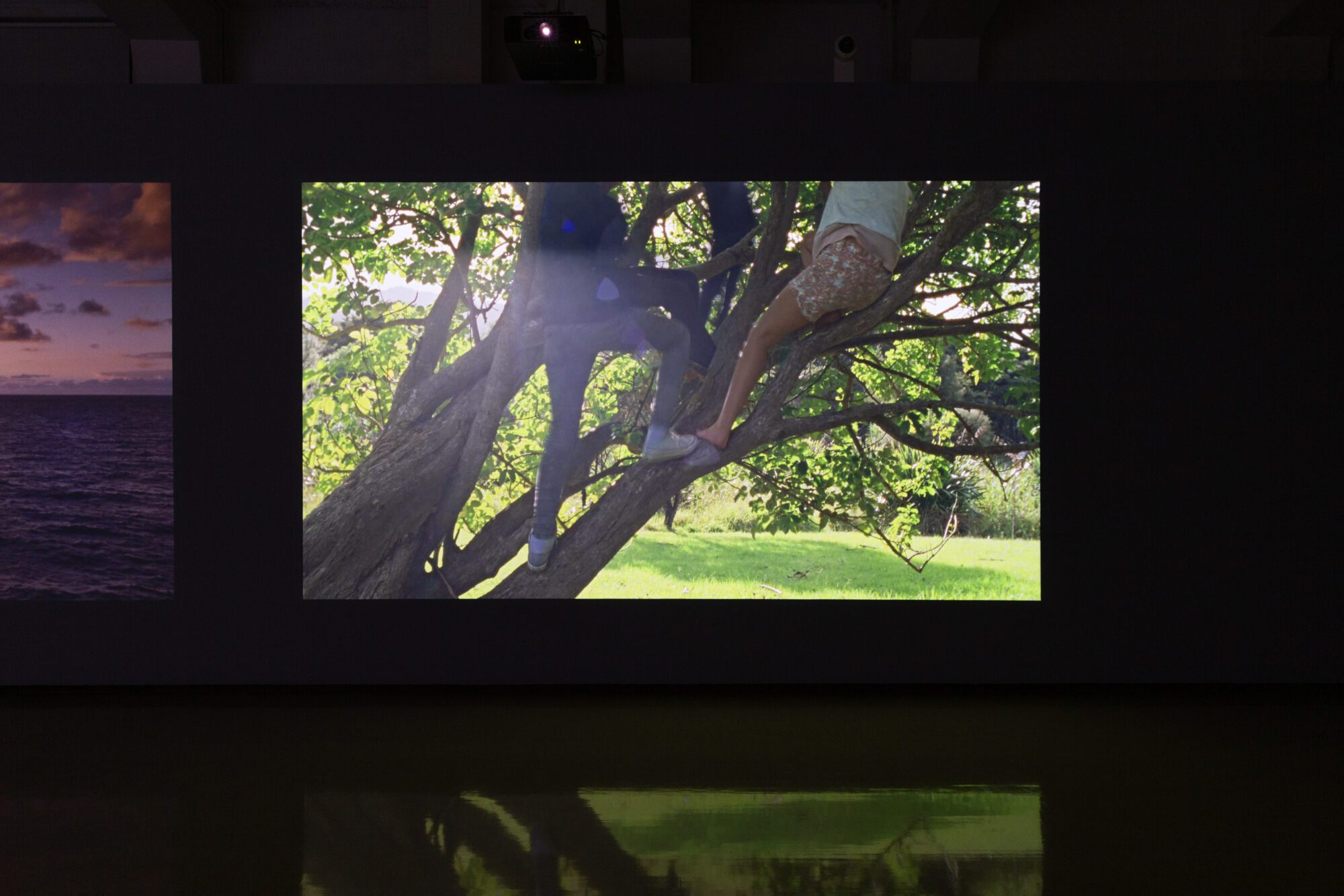 Nova Paul: Ngā Pūrākau Nō Ngā Rākau - City Gallery